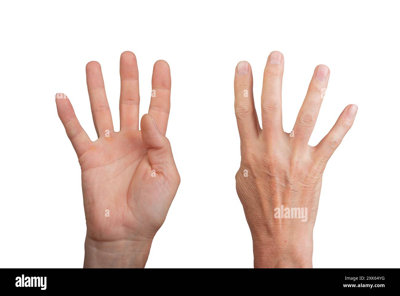Hand showing four fingers, isolated on white background. Counting or ...