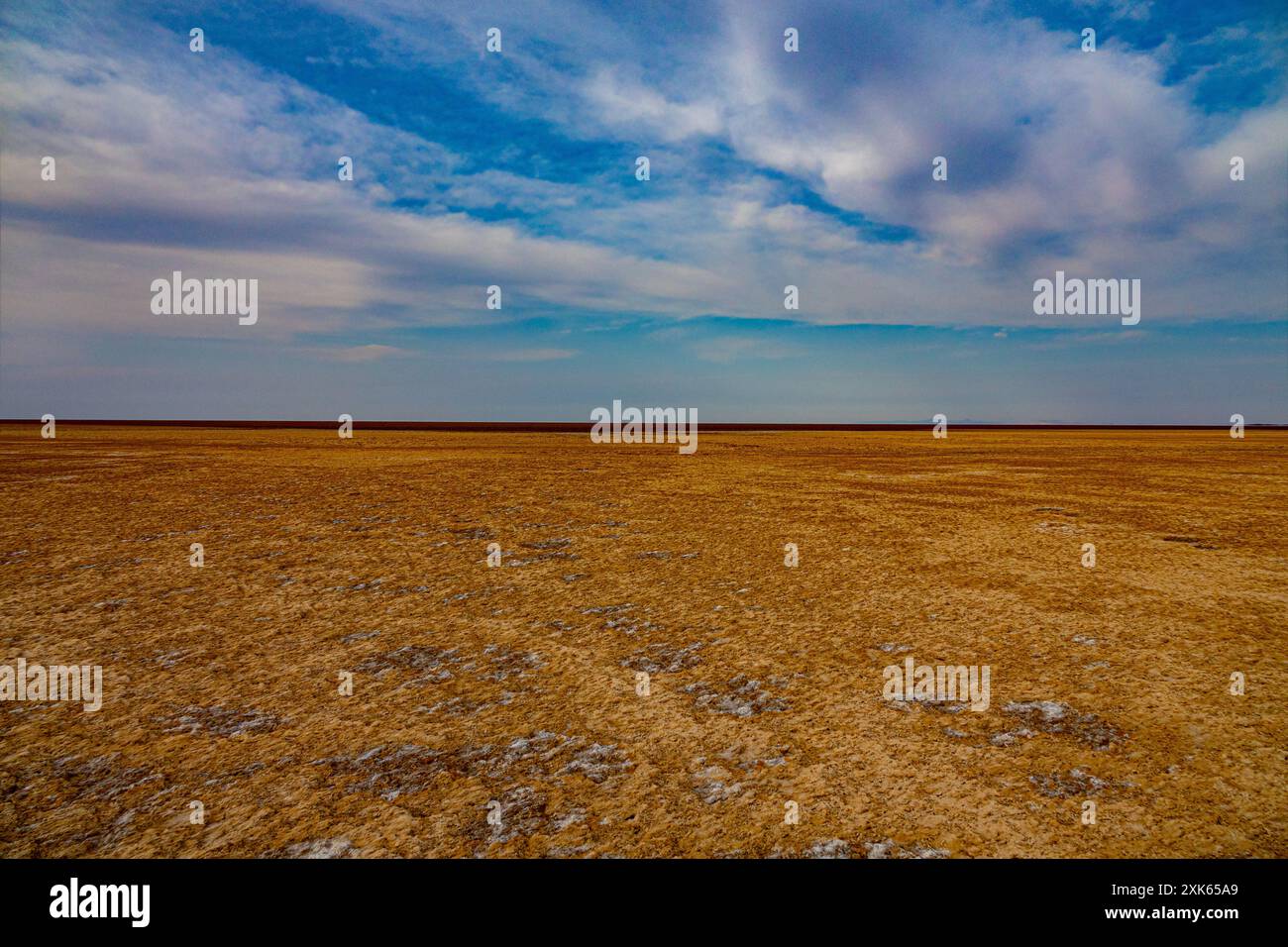 Salinization of soil hi-res stock photography and images - Alamy