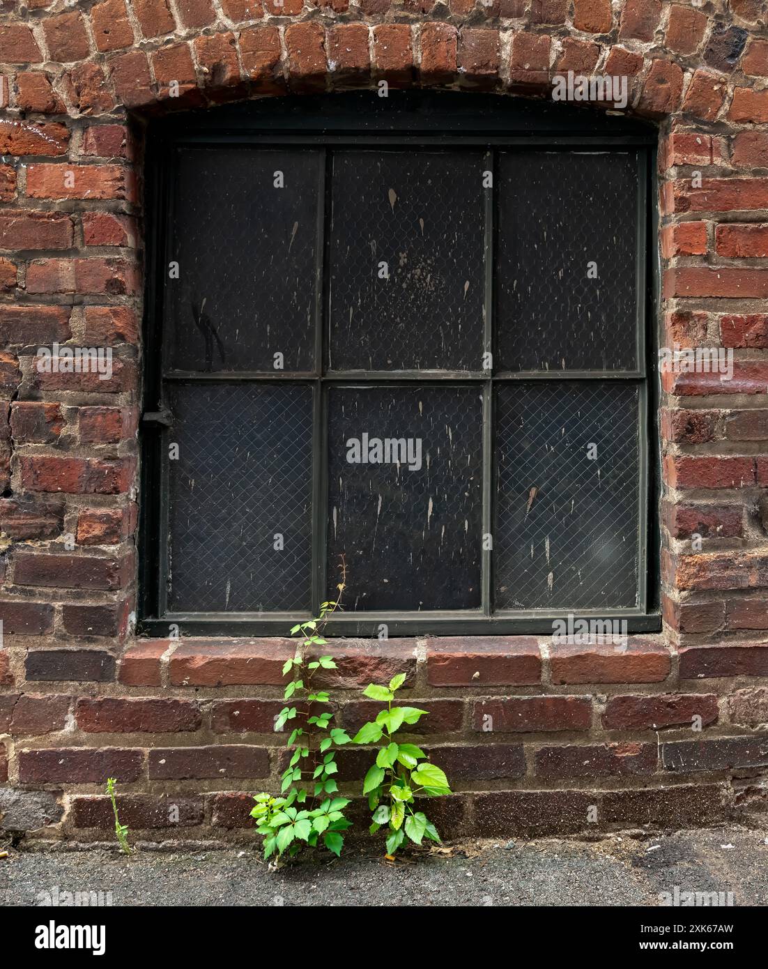 Survive urban hi-res stock photography and images - Alamy