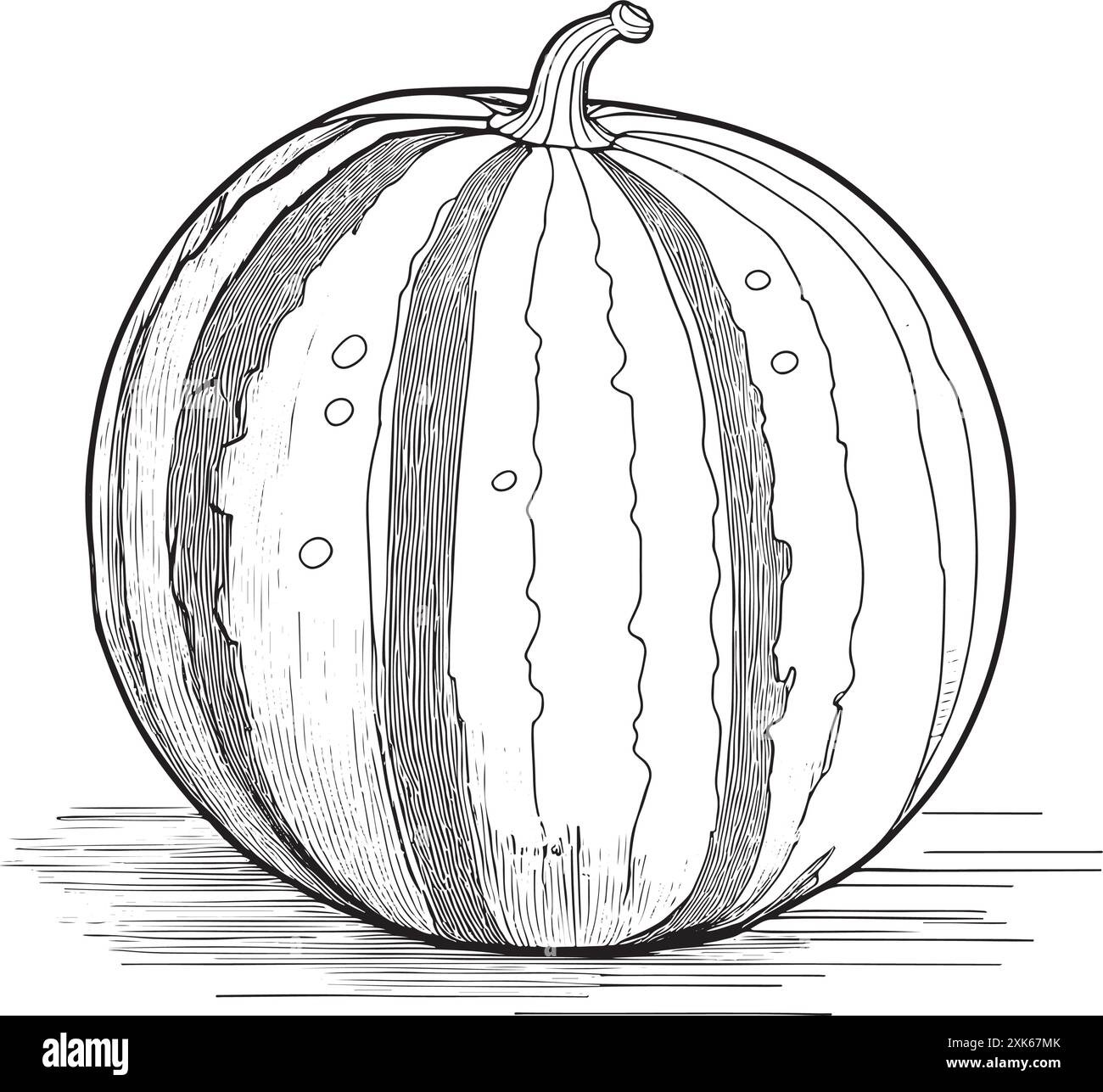 Lines of watermelon hi-res stock photography and images - Alamy