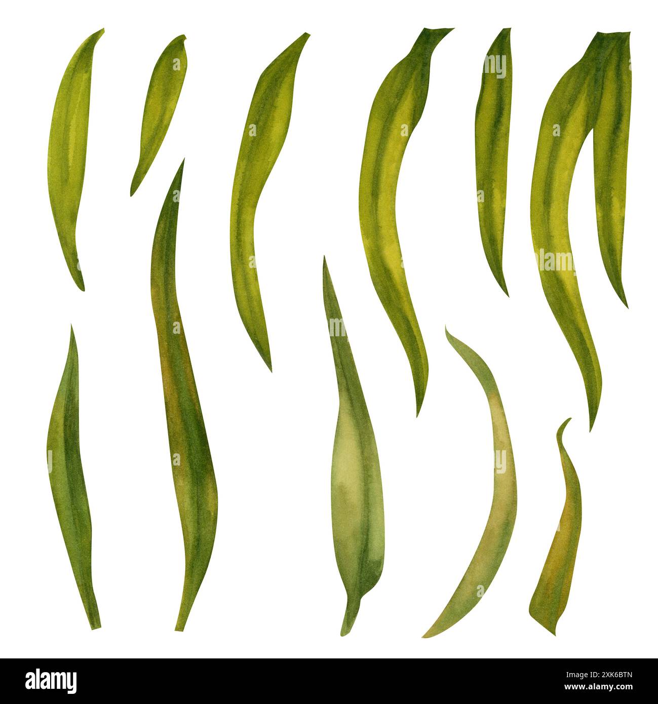 Watercolor illustration template spring Cut Out Stock Images & Pictures ...