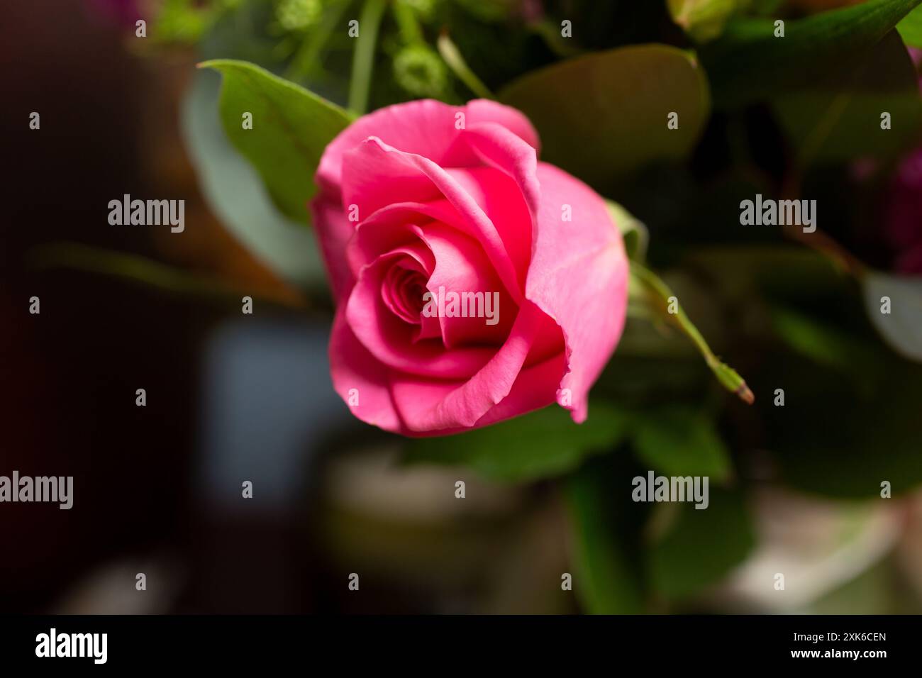 How to make a floral bouquet hi-res stock photography and images - Alamy