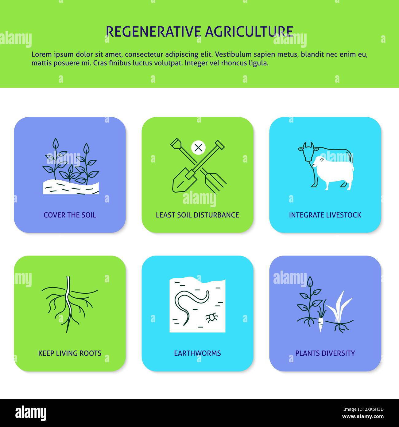 Regenerative agriculture principles banner template. Sustainable ...