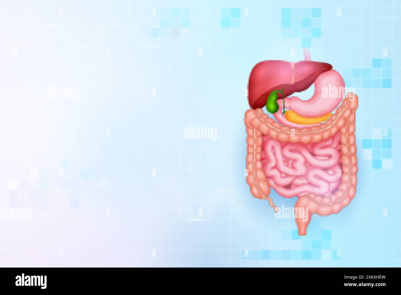 illustration of Healthcare and Medical education background of Human ...