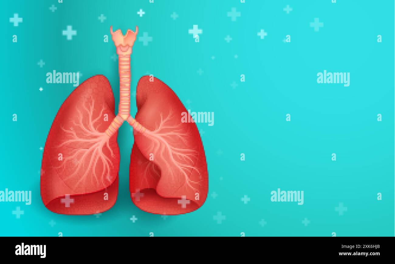 illustration of Healthcare and Medical education background of Human ...