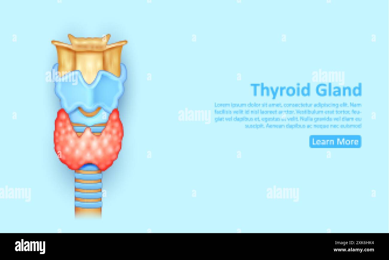 illustration of Healthcare and Medical education background of Human ...