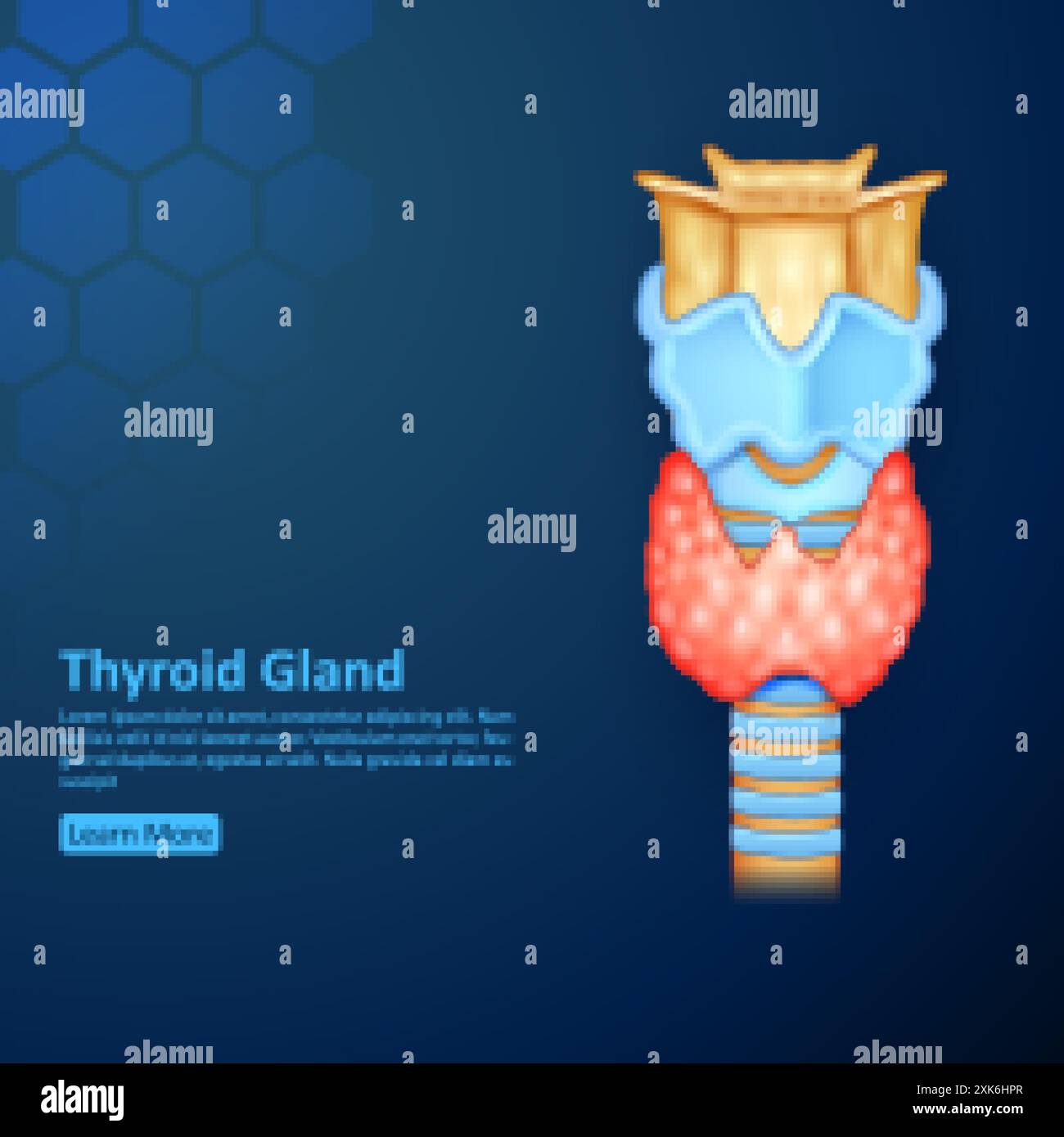 illustration of Healthcare and Medical education background of Human ...