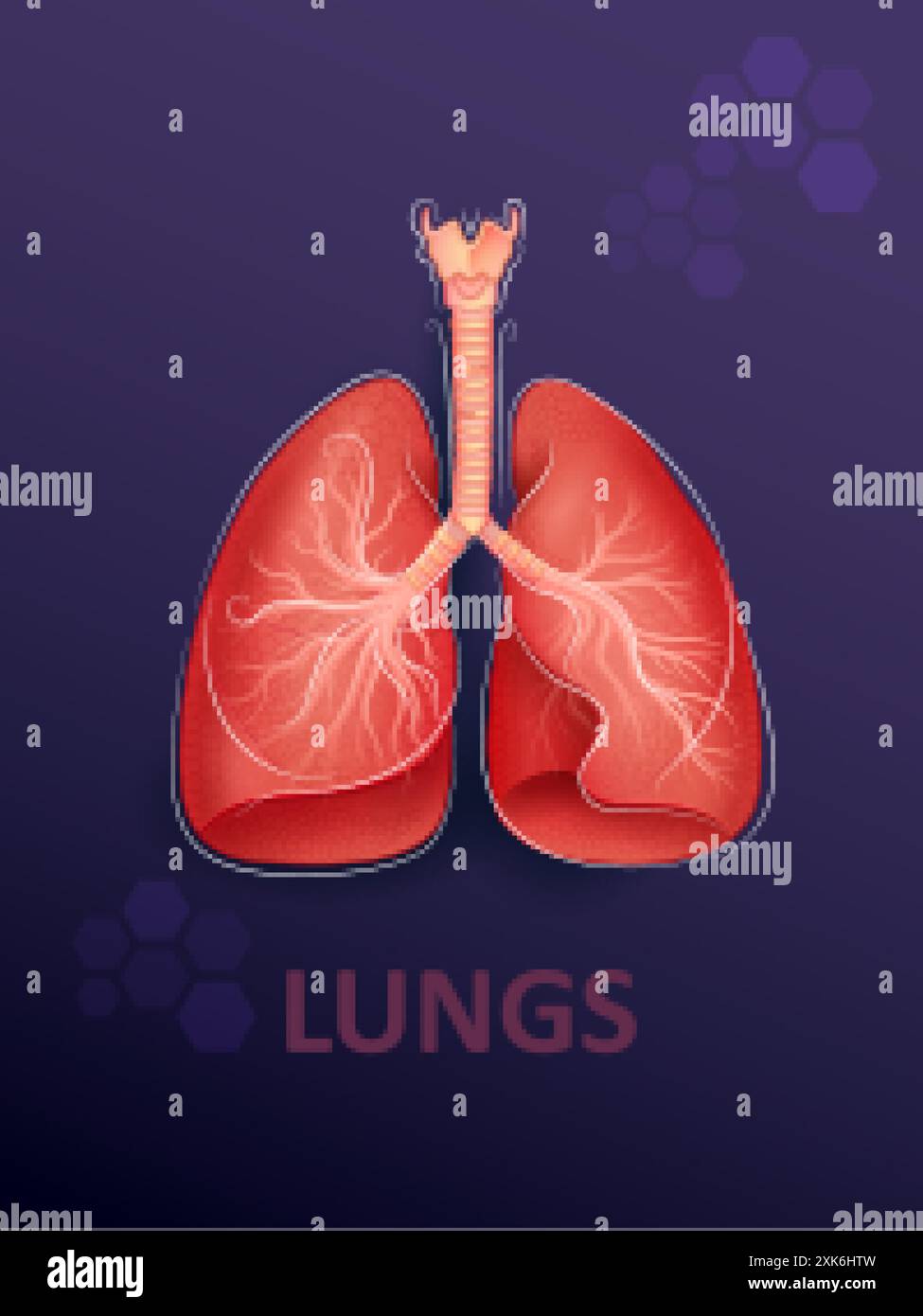 illustration of Healthcare and Medical education background of Human ...