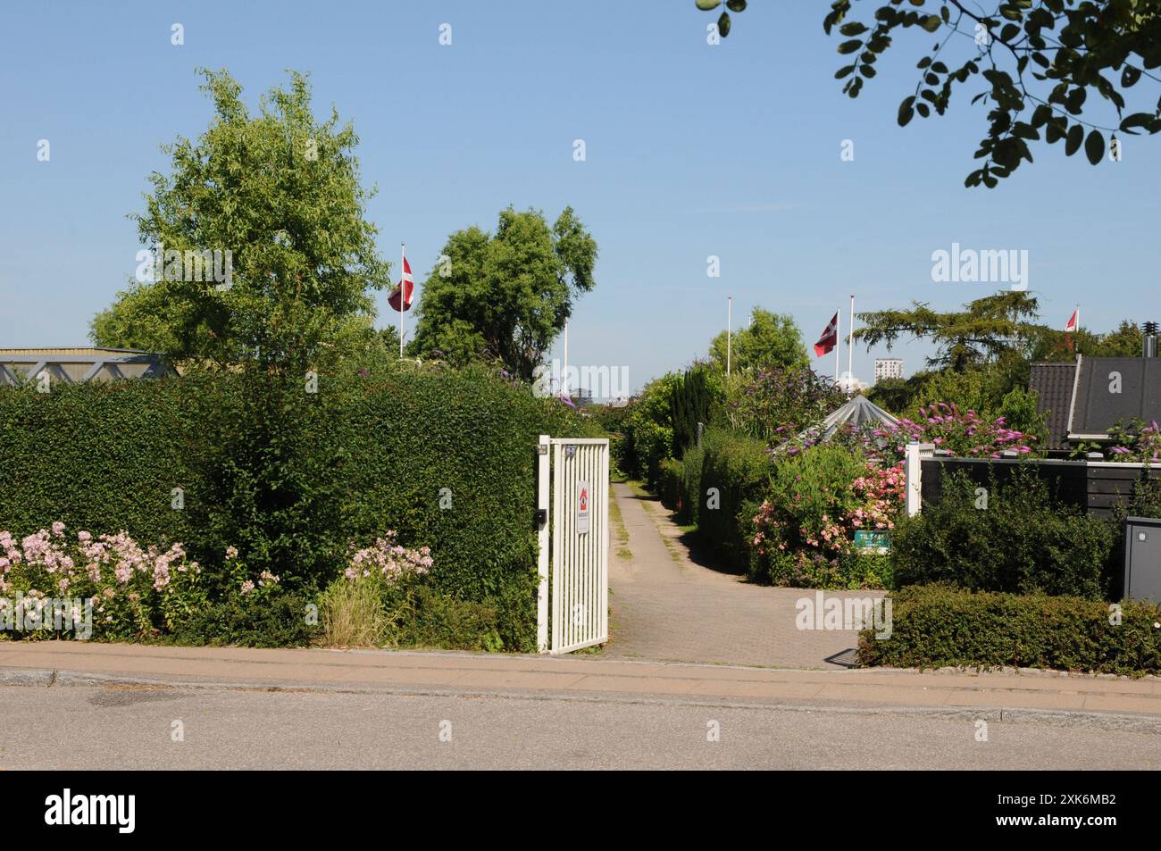 Kastrup/Copenhagen/ Denmark/21 July 2024/Danes enjoy summers and thier ...