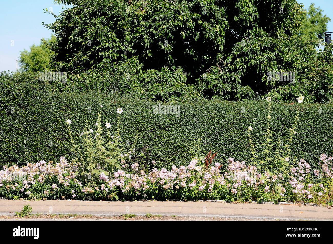 Foto cabines hi-res stock photography and images - Alamy