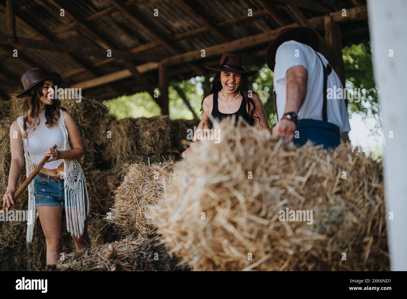 Friends enjoying playful teamwork during hay bales in rustic barn ...