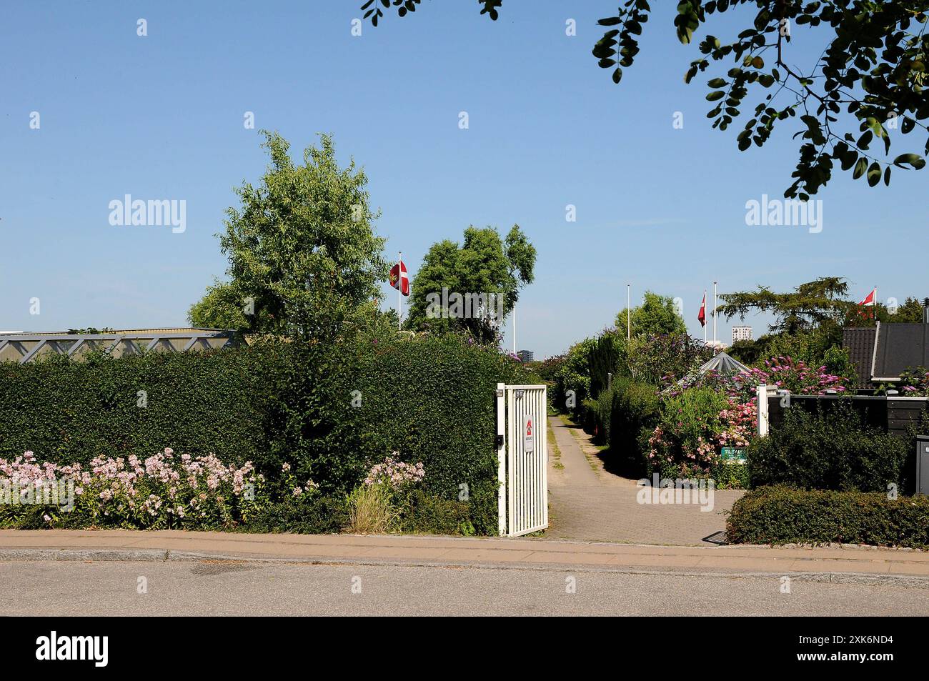 Kastrup/Copenhagen/ Denmark/21 July 2024/Danes enjoy summers and thier ...