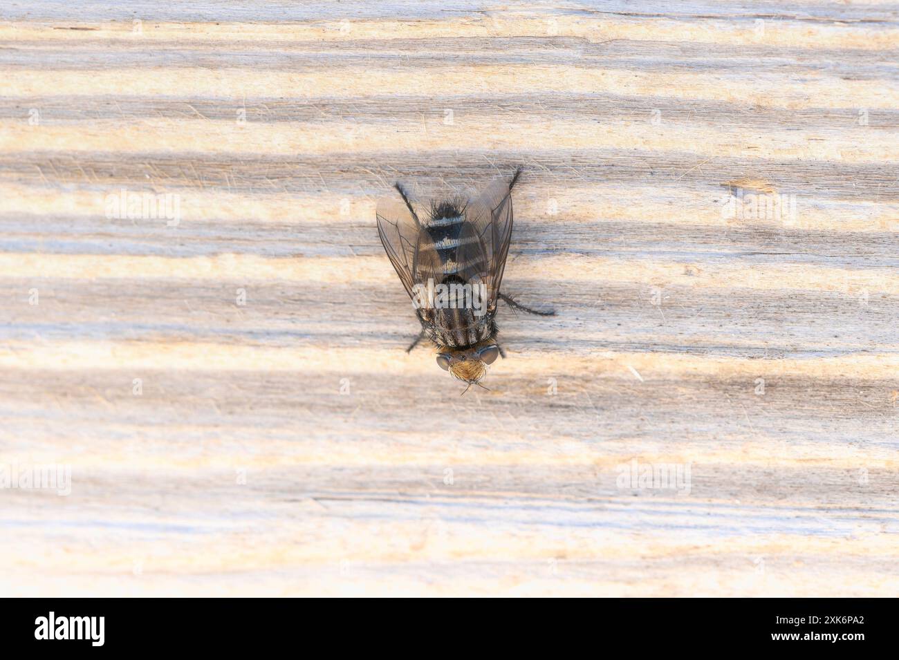 View on observation from downwards hi-res stock photography and images ...