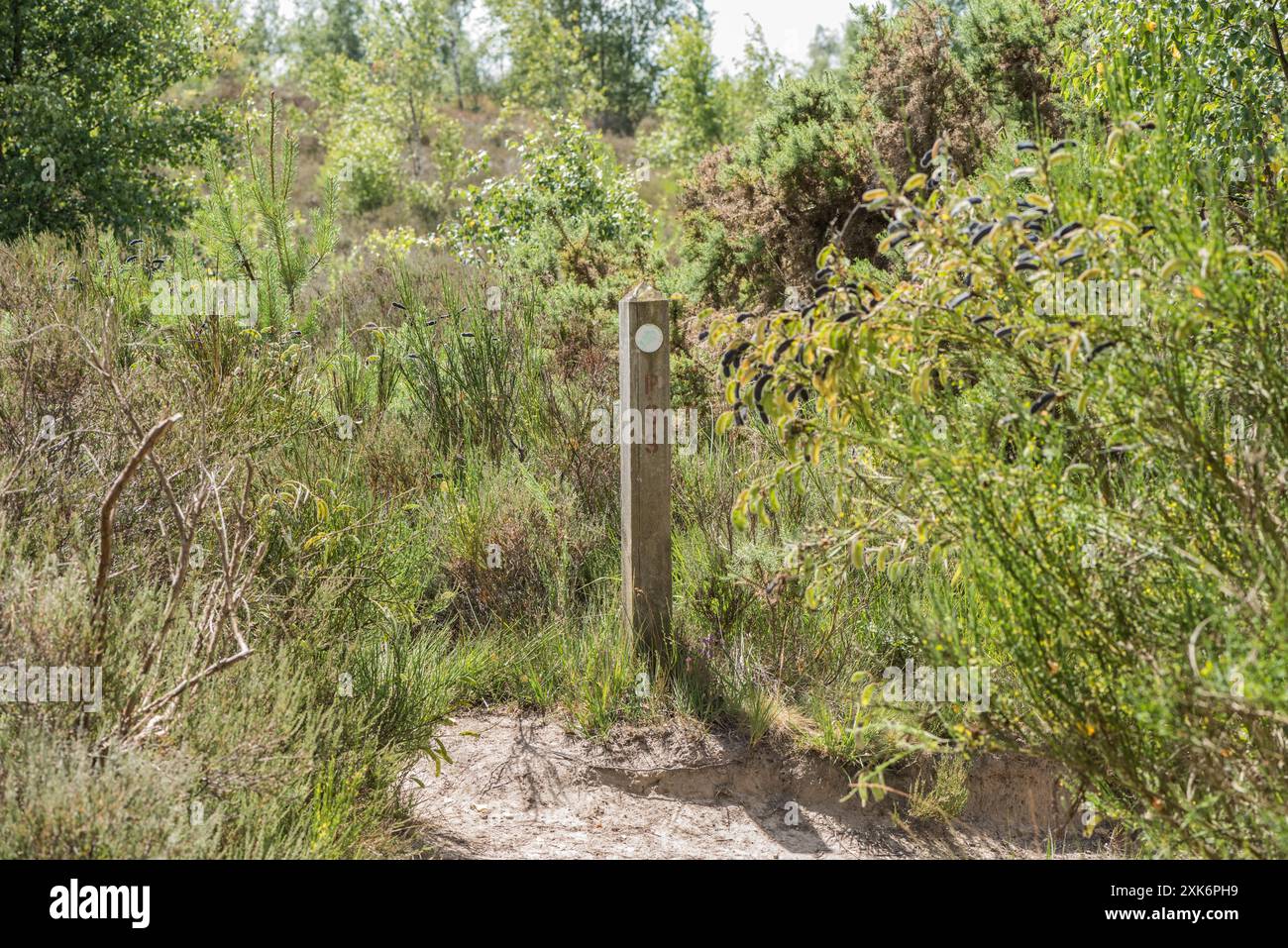 Wooden marker hi-res stock photography and images - Alamy
