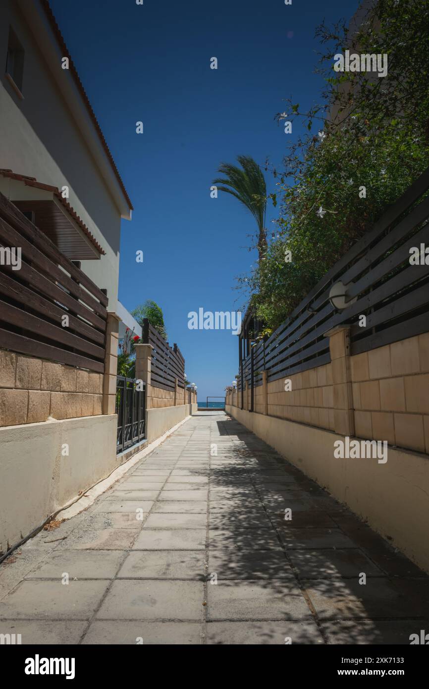 A narrow pathway with palm trees and fences on both sides, leading to a ...