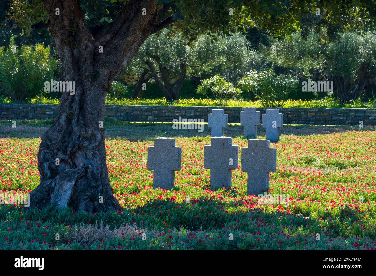 German war cemetery at Maleme in spring, Crete Stock Photo - Alamy