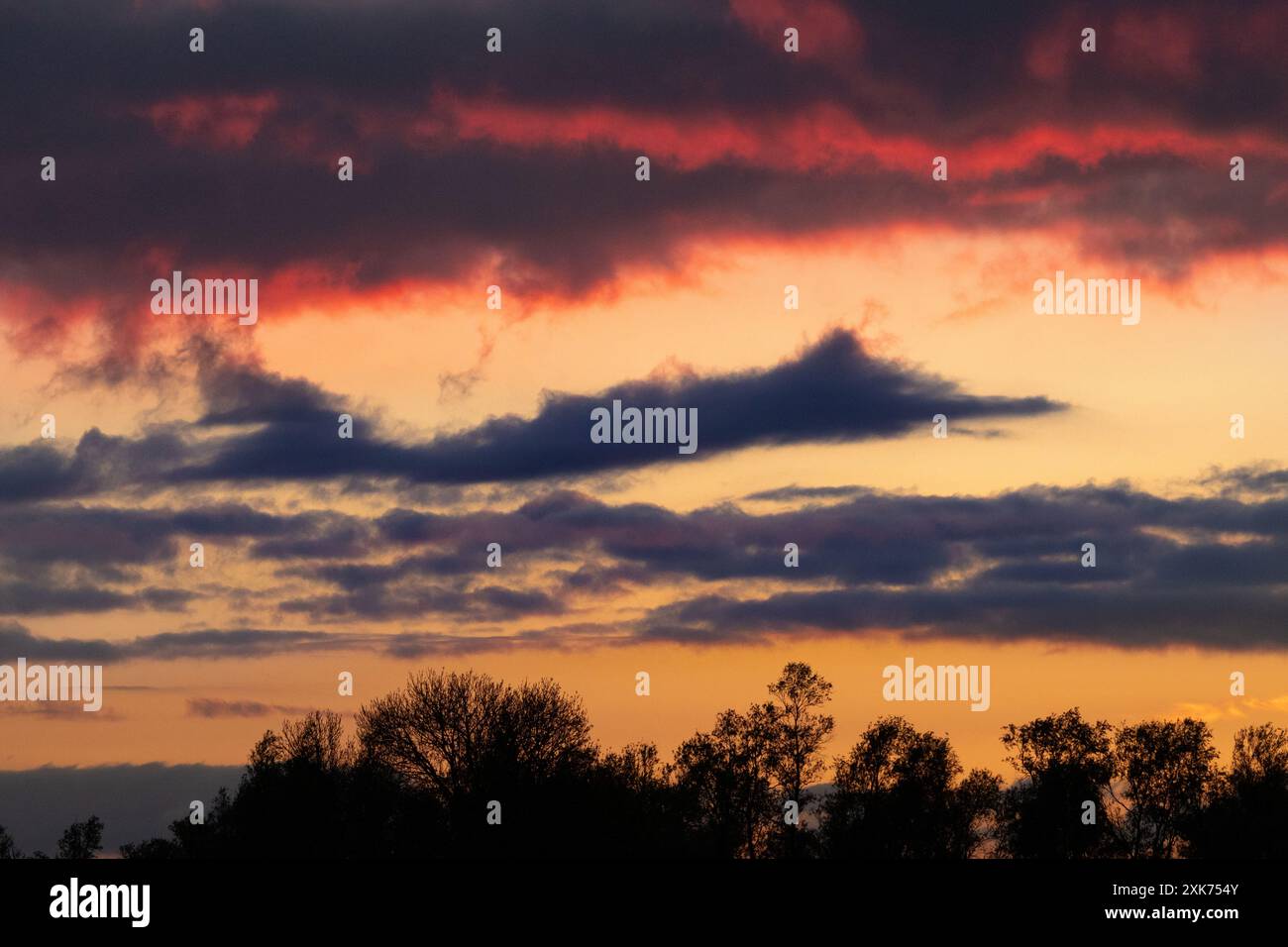 Calm fighter hi-res stock photography and images - Alamy