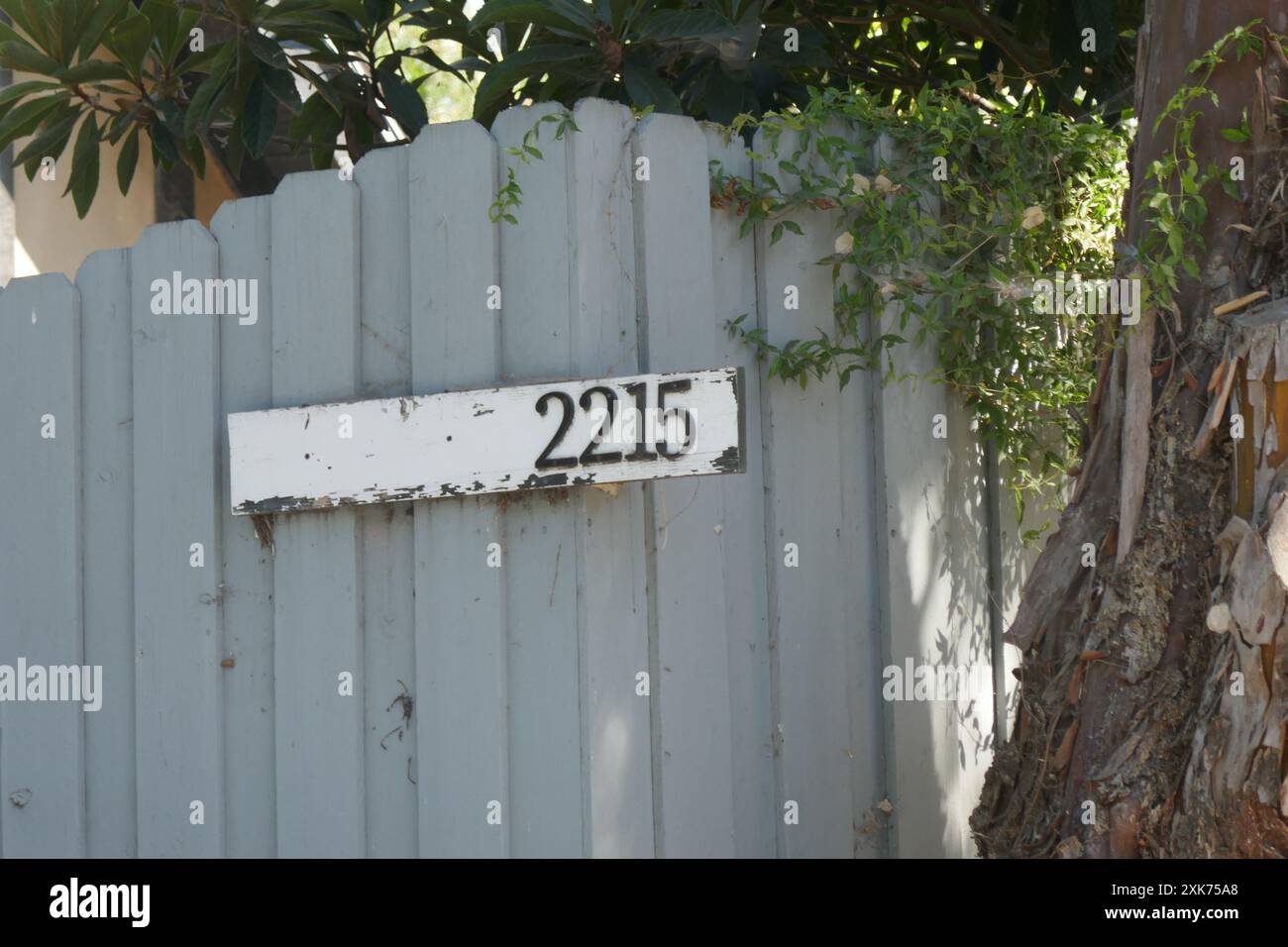 Los Angeles, California, USA 19th July 2024 Actress Catherine Bower ...