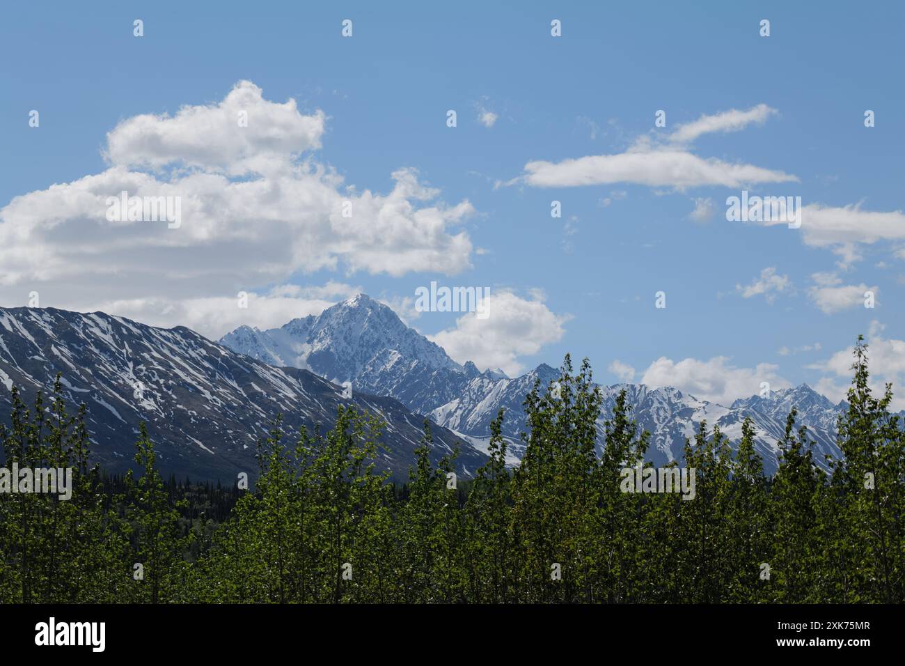 Hiking Alaska’s Matanuska Glacier fed by Mount Marcus Baker in the ...