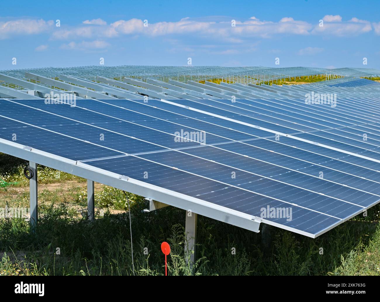 Petershagen, Germany. 21st July, 2024. A ground-mounted photovoltaic ...