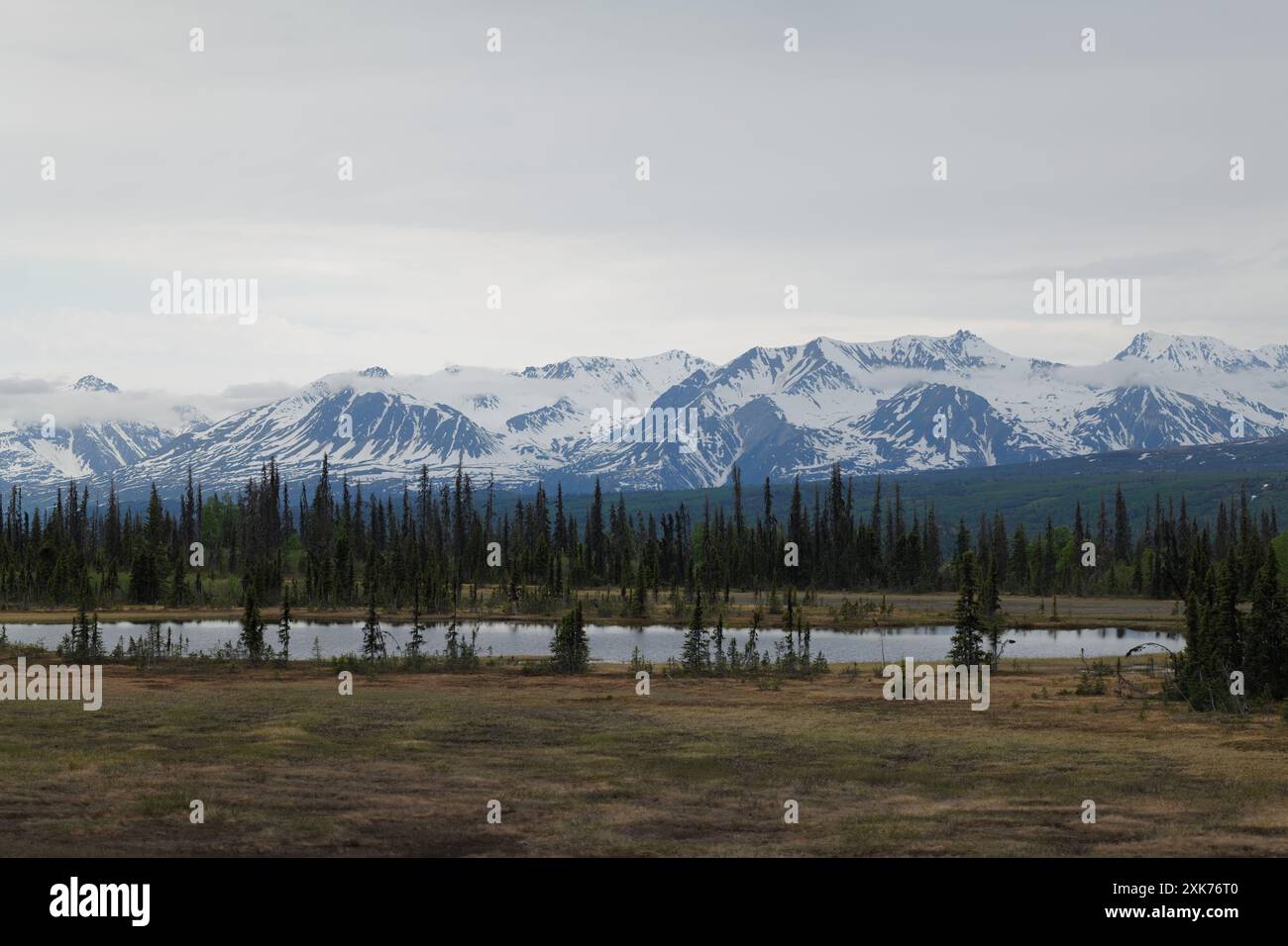 Views of and from the Alaska Railroad’s Denali Star train from ...