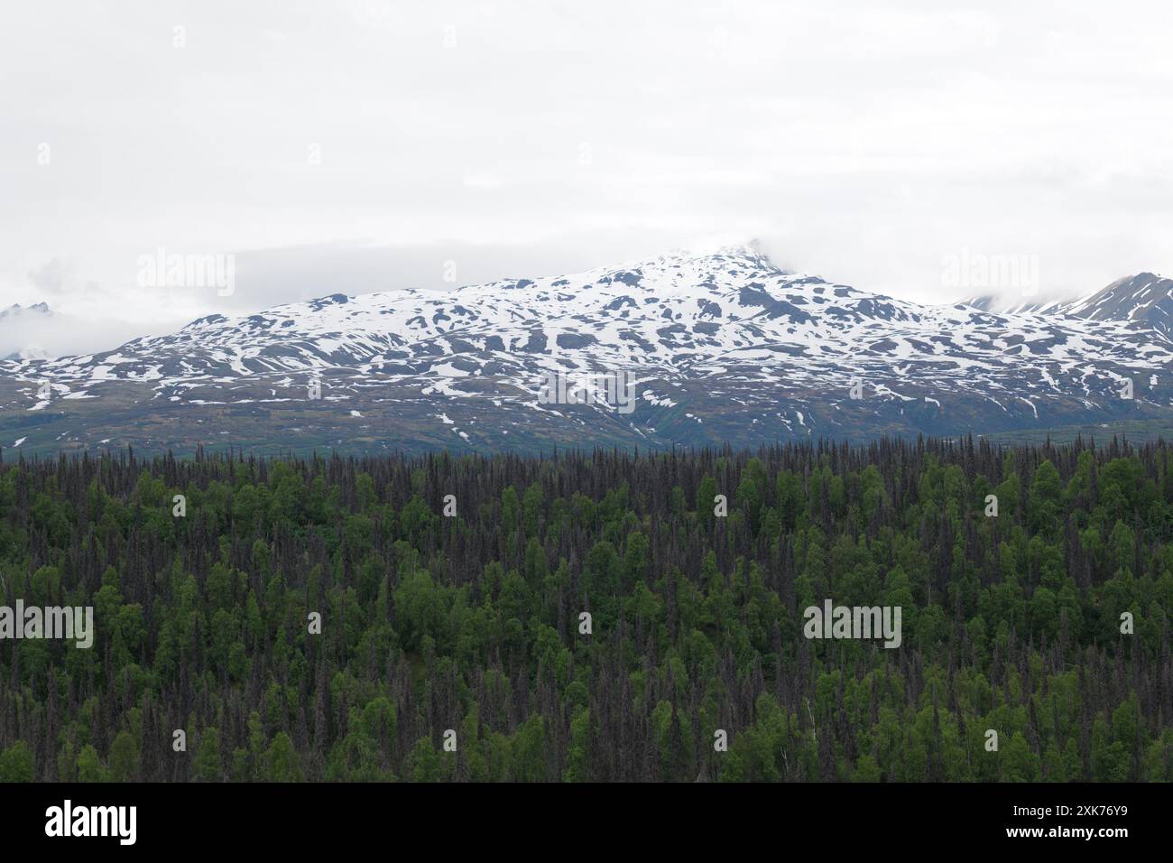 Views of and from the Alaska Railroad’s Denali Star train from ...