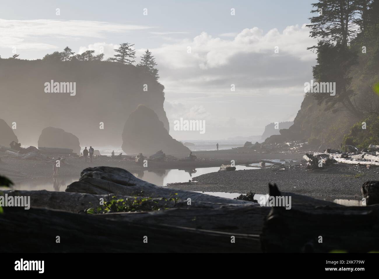 Ruby Beach, along the Pacific Coast of Highway 101 on the Olympic ...