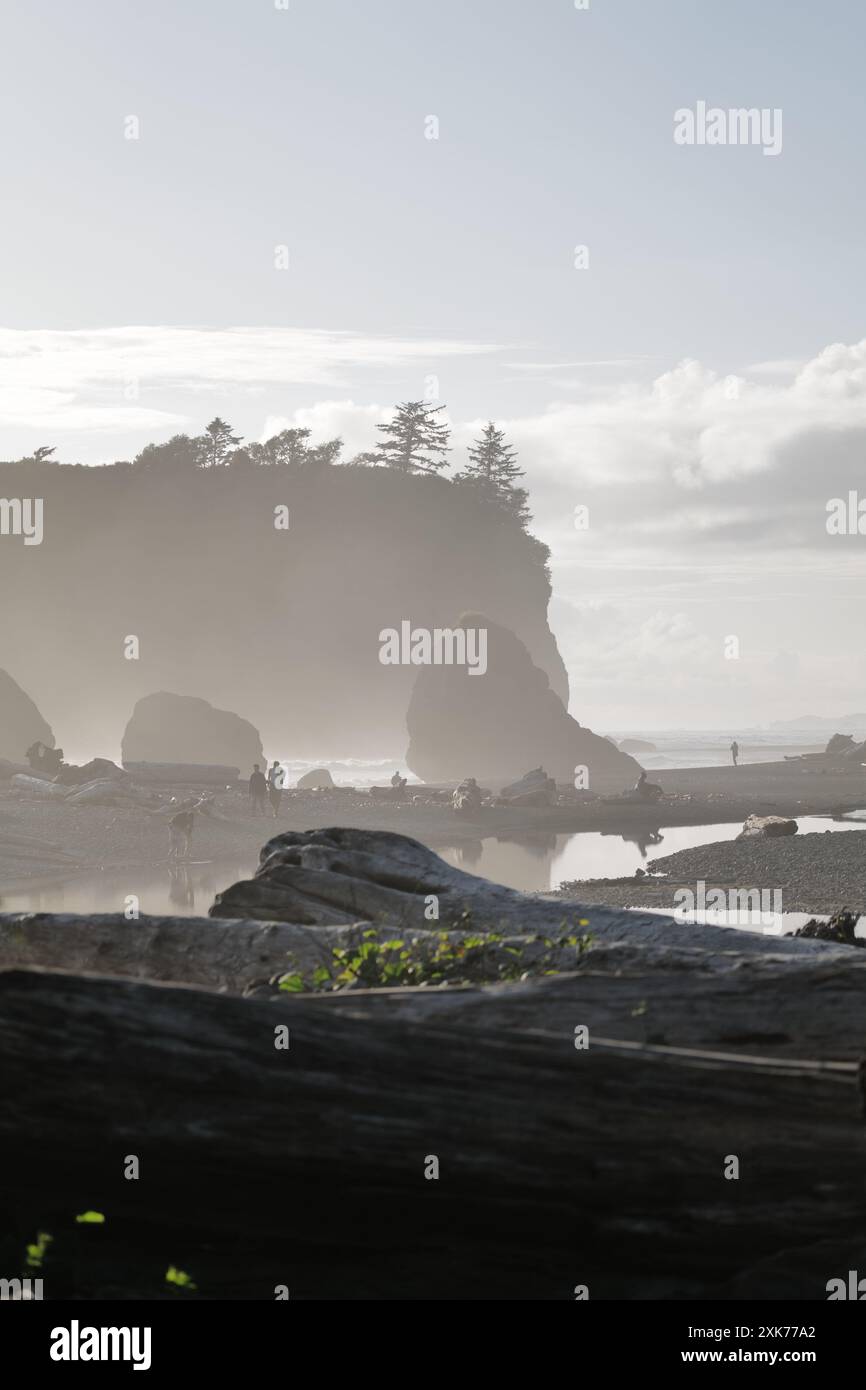 Ruby Beach, along the Pacific Coast of Highway 101 on the Olympic ...