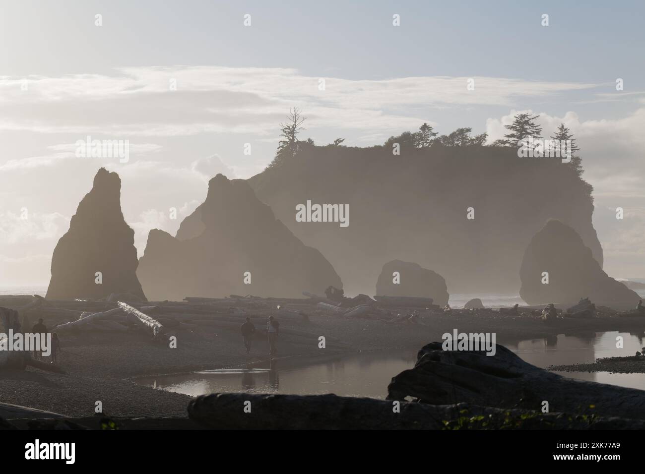 Ruby Beach, along the Pacific Coast of Highway 101 on the Olympic ...