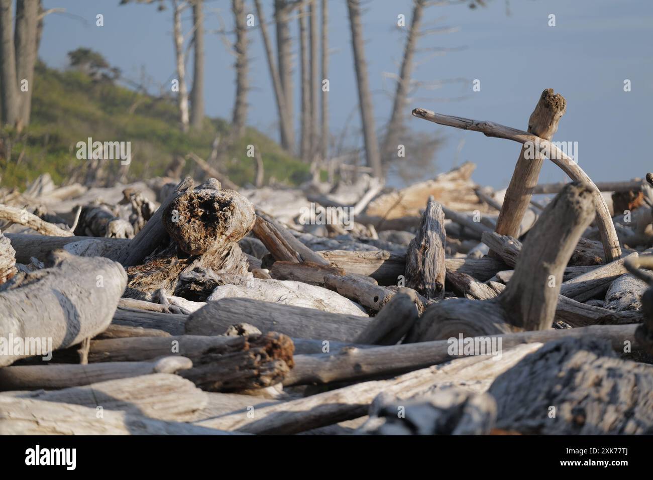 Ruby Beach, along the Pacific Coast of Highway 101 on the Olympic ...