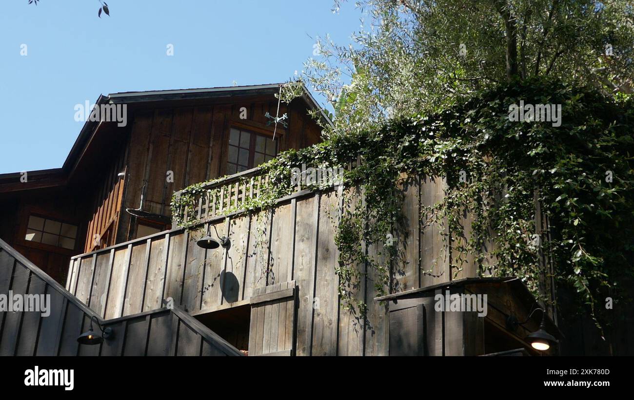 Los Angeles, California, USA 19th July 2024 Singer Orville Peck (Daniel ...