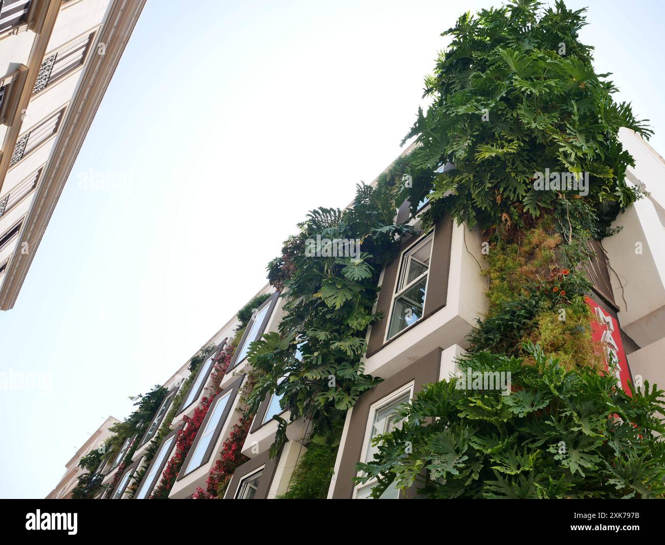 Vegetation on building hi-res stock photography and images - Alamy