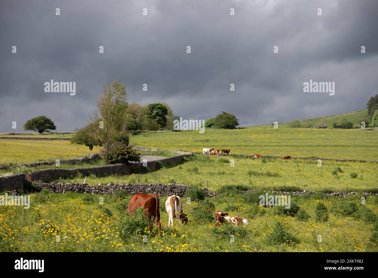 B6465, Monsal Dale valley, Derbyshire, England, in the White Peak ...