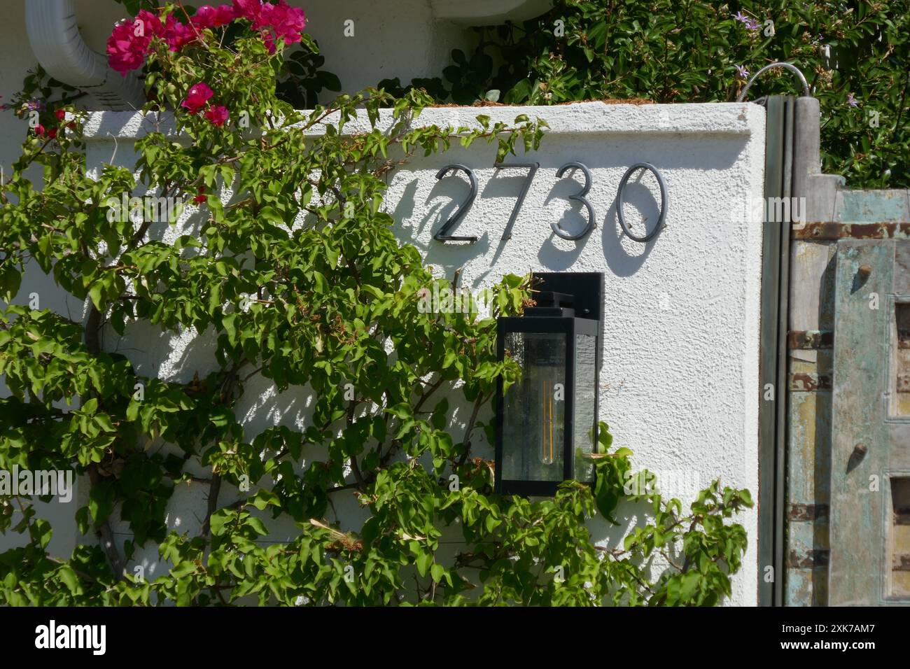 Los Angeles, California, USA 19th July 2024 Actor Robert Mailhouse ...
