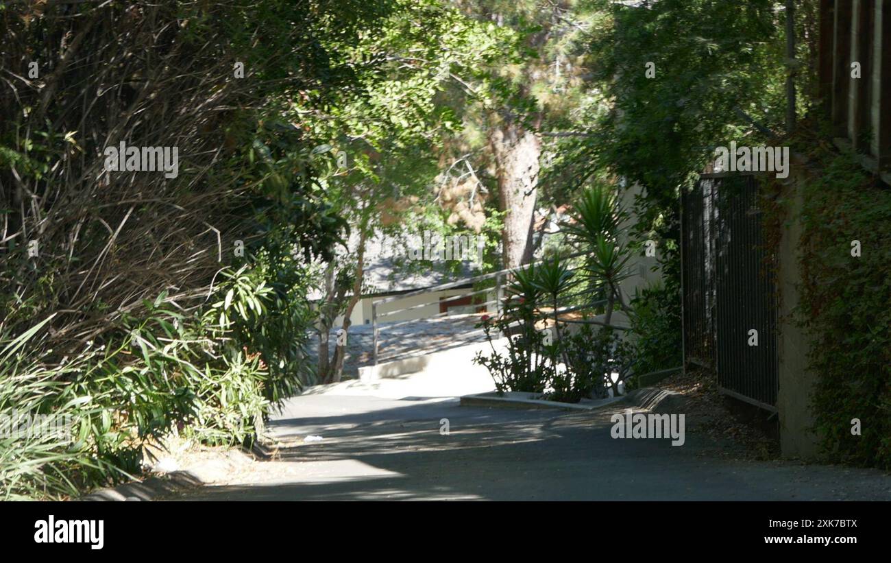 Los Angeles, California, USA 19th July 2024 Guns N Roses Singer Axl ...