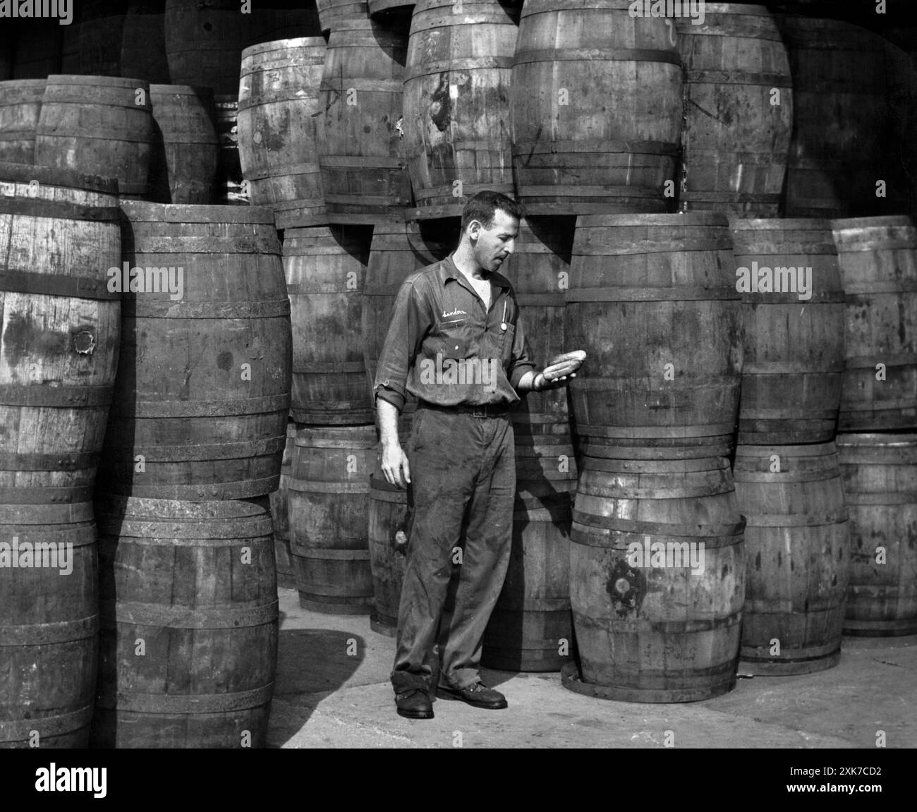 Stanley Hyams, co-owner of Washington Pickle Works, holding two pickles ...