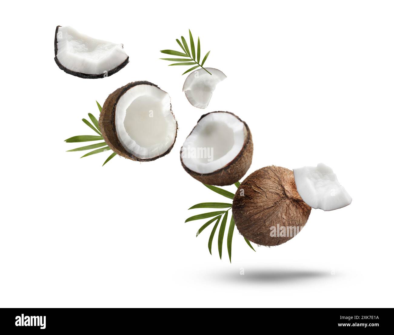 Coconuts and green leaves falling on white background Stock Photo - Alamy