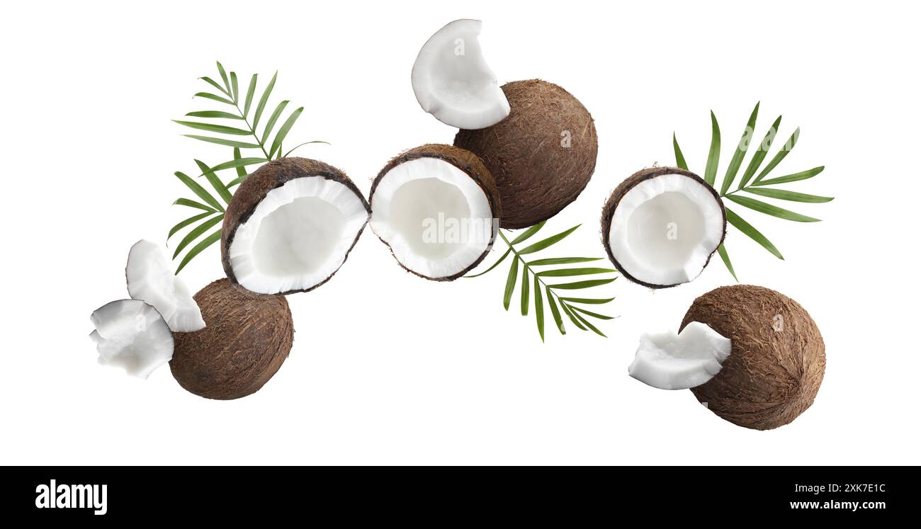 Coconuts and green leaves falling on white background Stock Photo - Alamy
