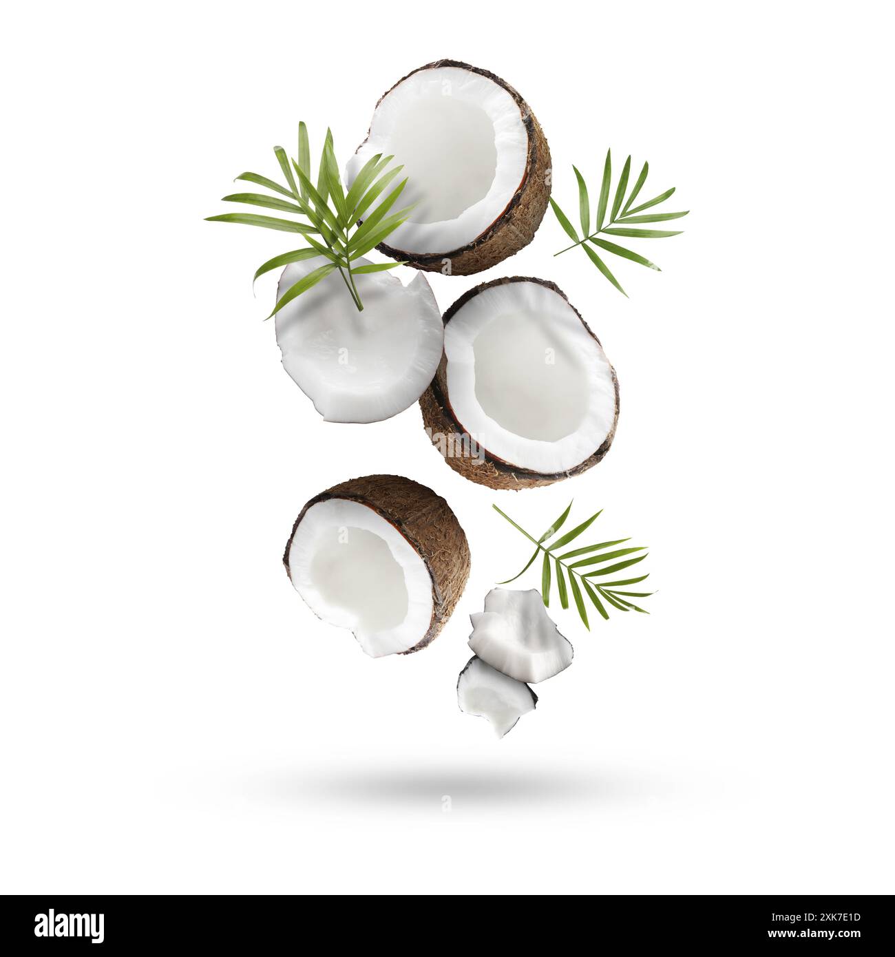 Coconuts and green leaves falling on white background Stock Photo - Alamy