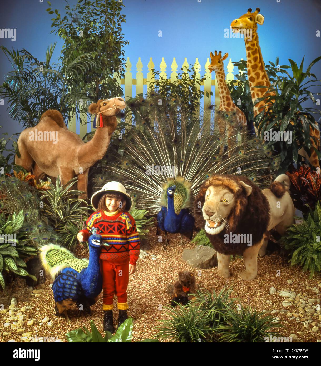 Safari animal humor hi-res stock photography and images - Alamy