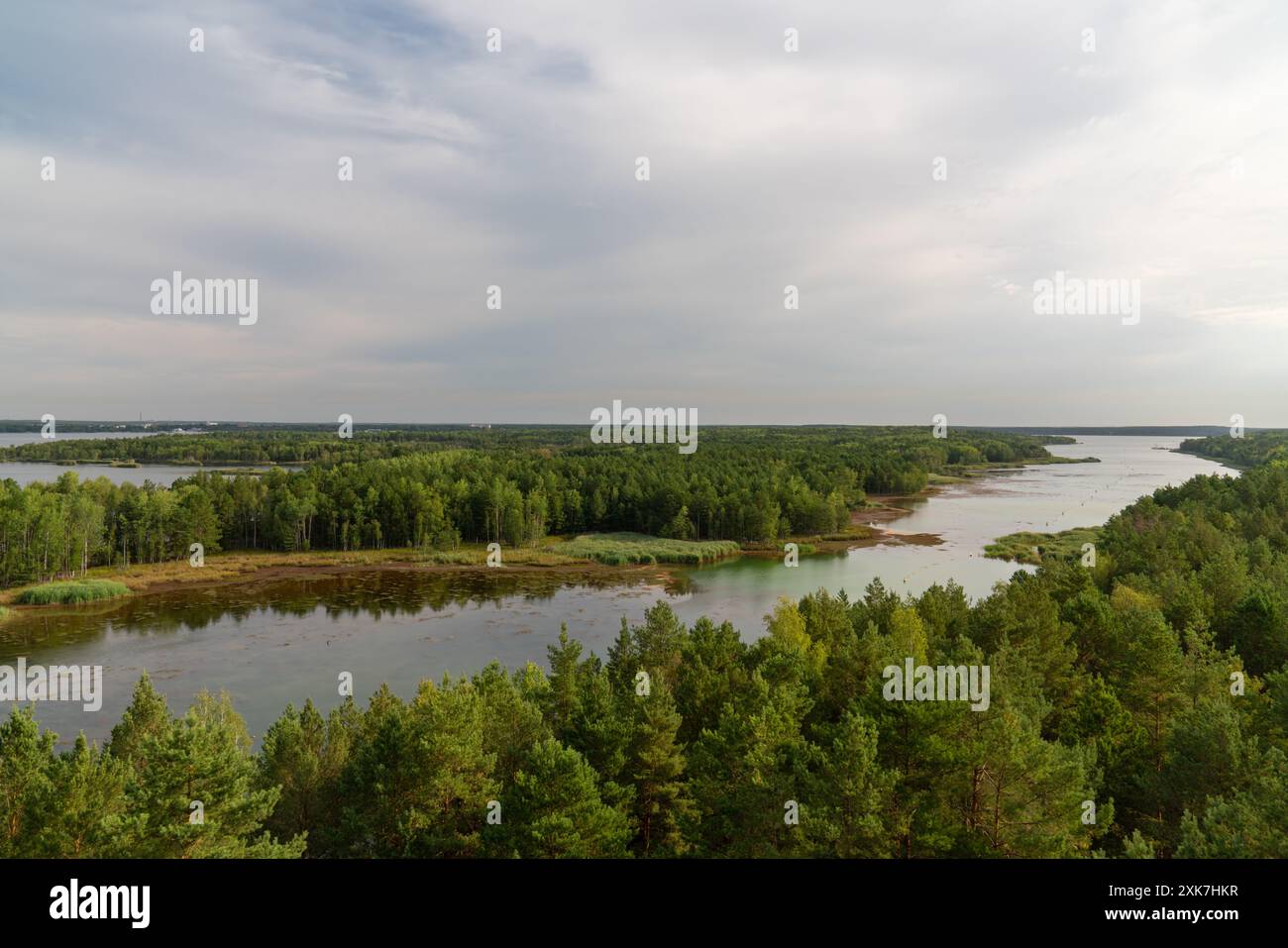 A view of the river surrounded by luscious green trees. Dawn Stock ...
