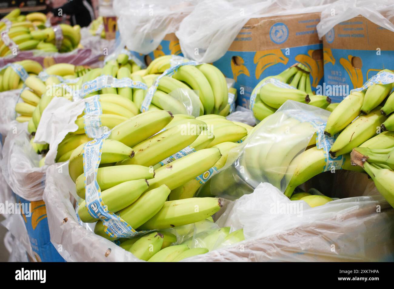 Bananas on display at a grocery store hi-res stock photography and ...