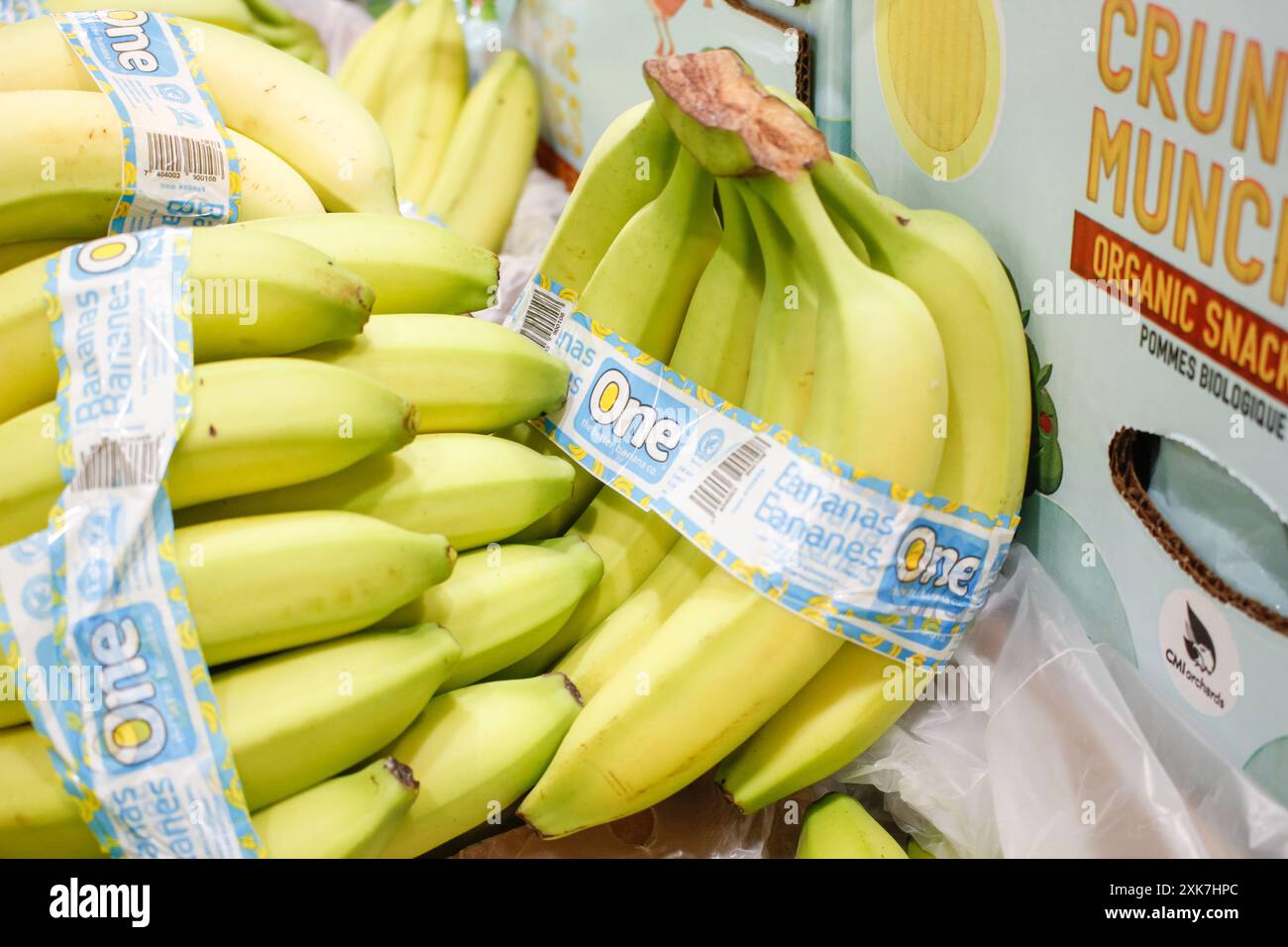 Bananas on display at a grocery store hi-res stock photography and ...