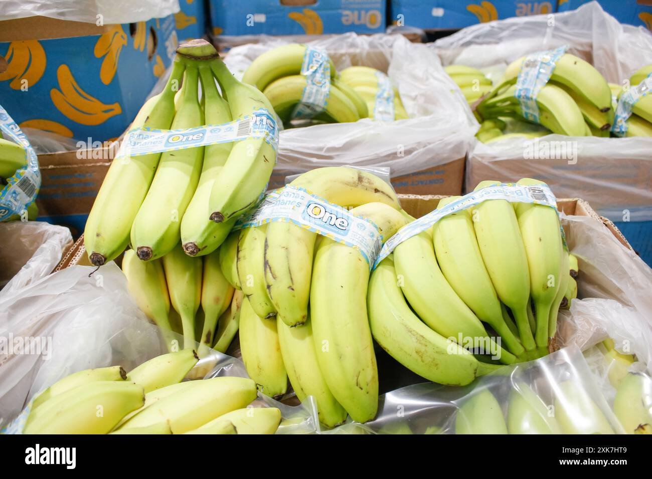 Los Angeles, California, United States - 04-06-2021: A view of several ...