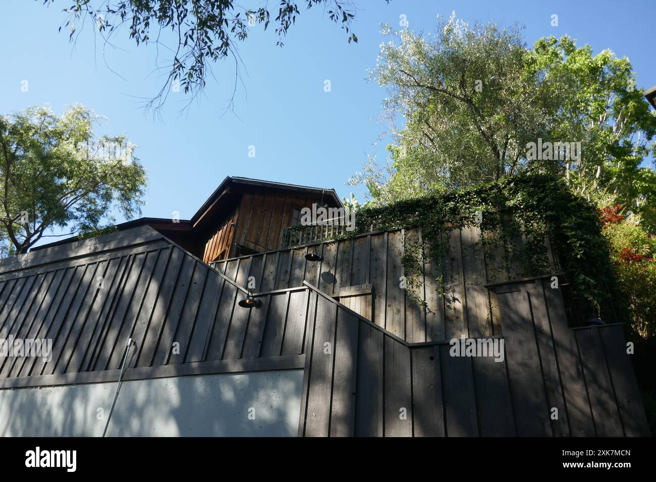 Los Angeles, California, USA 19th July 2024 Singer Orville Peck (Daniel ...
