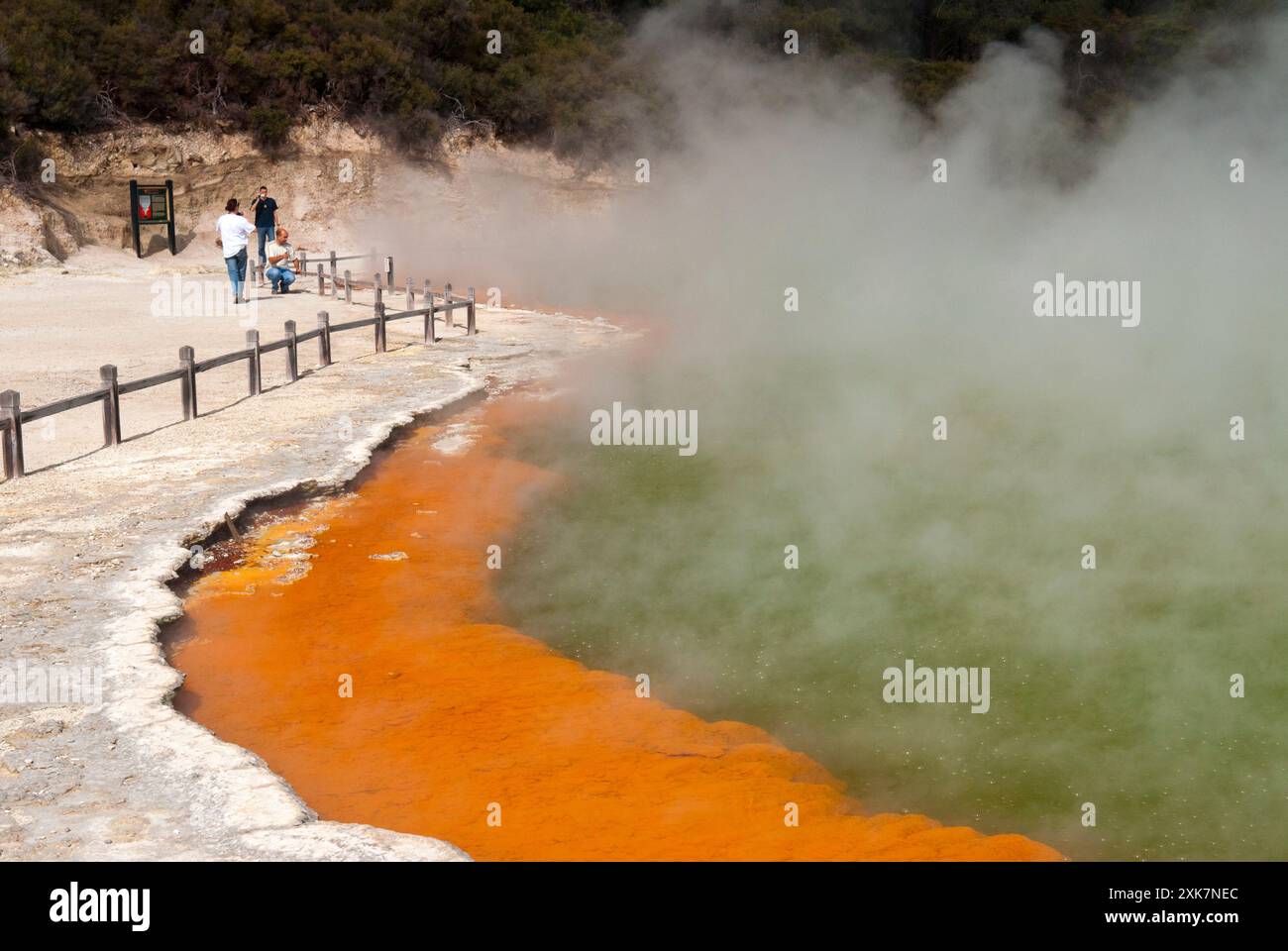 Champagne Pool, Wai-o-Tapu (Sacred Waters) area of the Taupo Volcanic ...