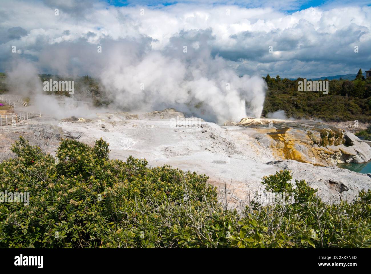 Pohutu Geyser, Whakarewarewa (Whakarewarewatanga O Te Ope Taua A Wahiao ...
