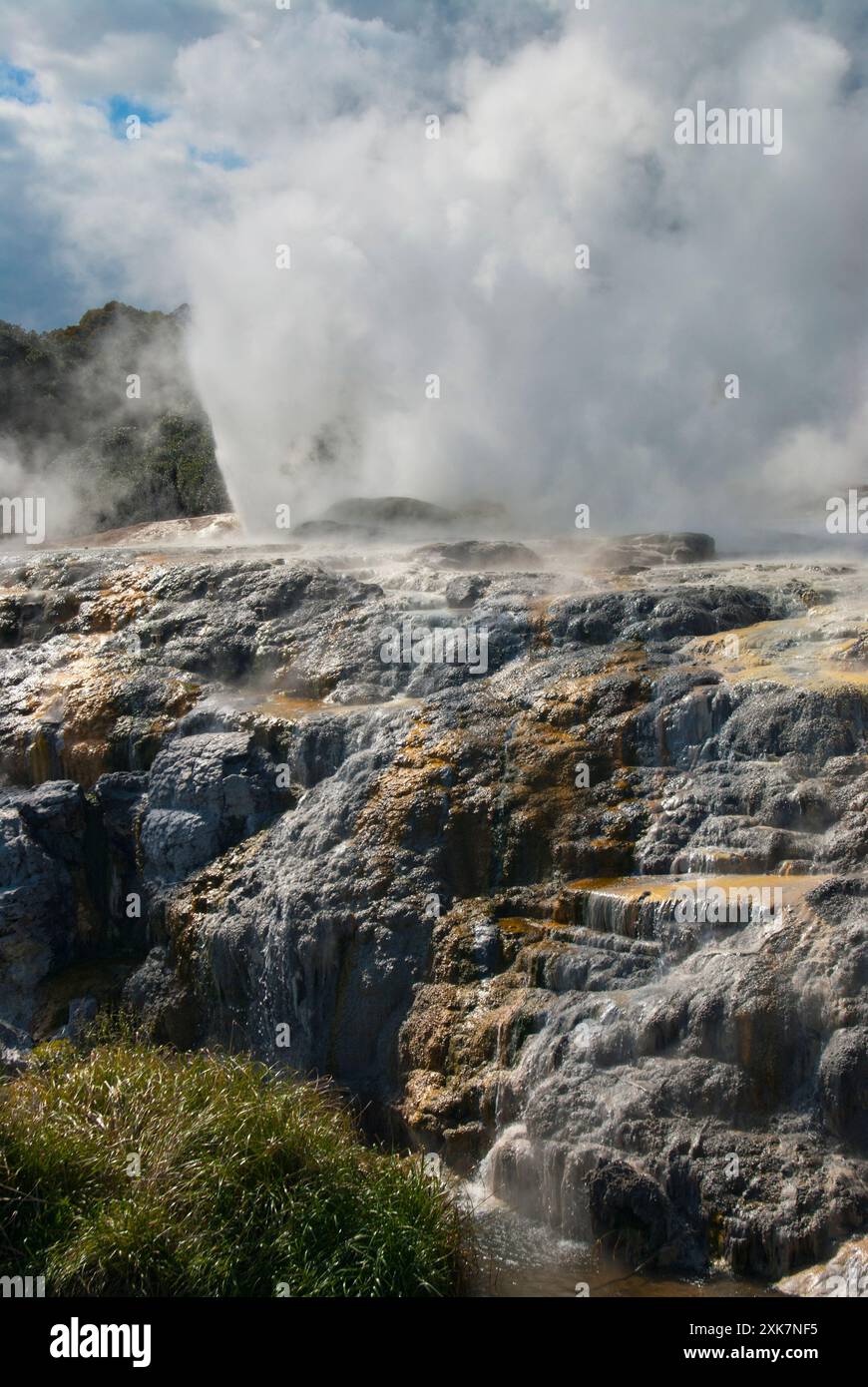 Pohutu Geyser, Whakarewarewa (Whakarewarewatanga O Te Ope Taua A Wahiao ...