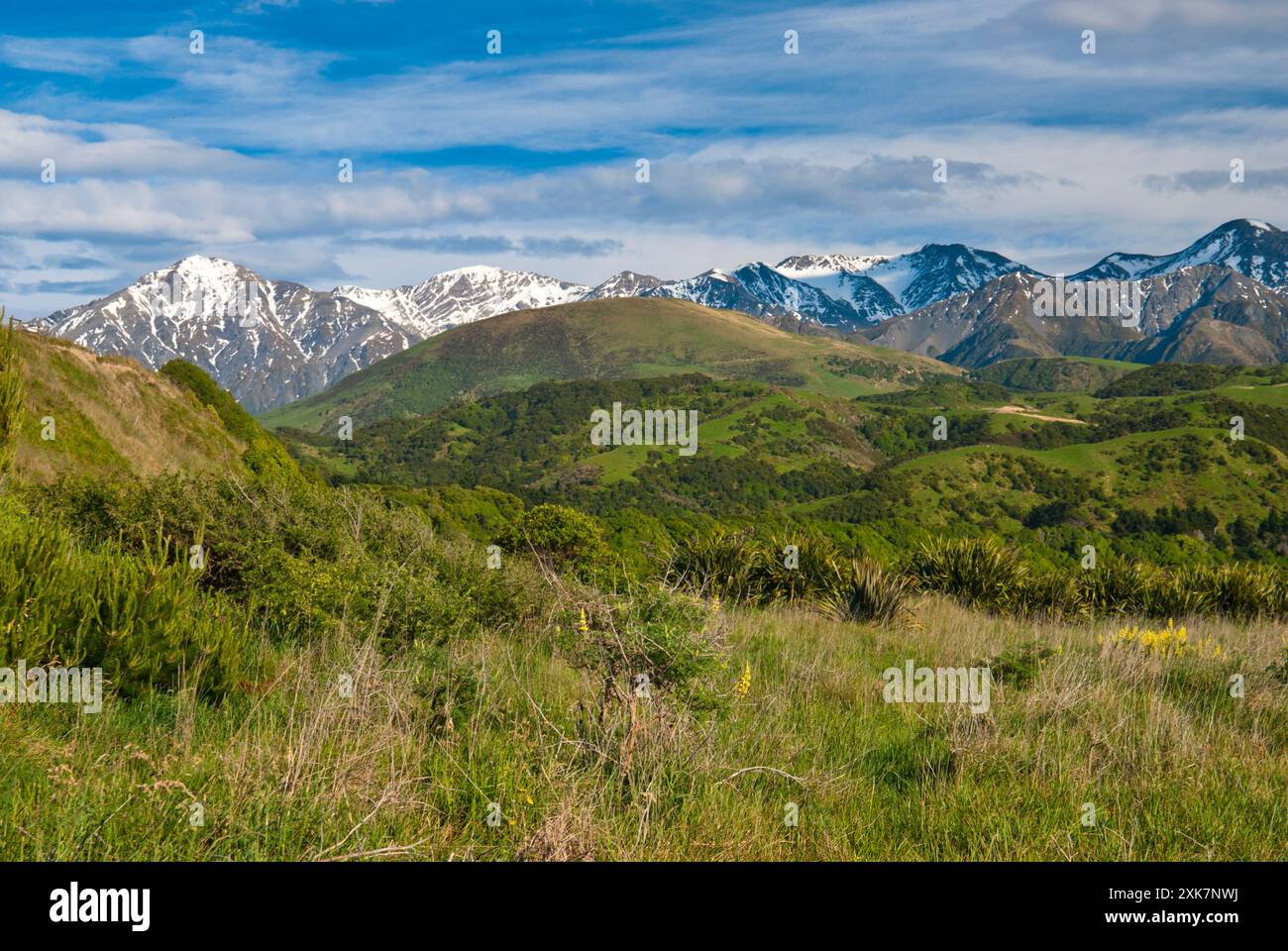 Mangamaunu new zealand hi-res stock photography and images - Alamy