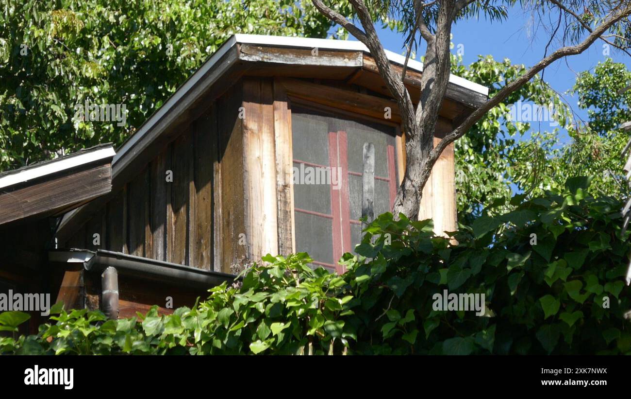 Los Angeles, California, USA 19th July 2024 Singer Orville Peck (Daniel ...